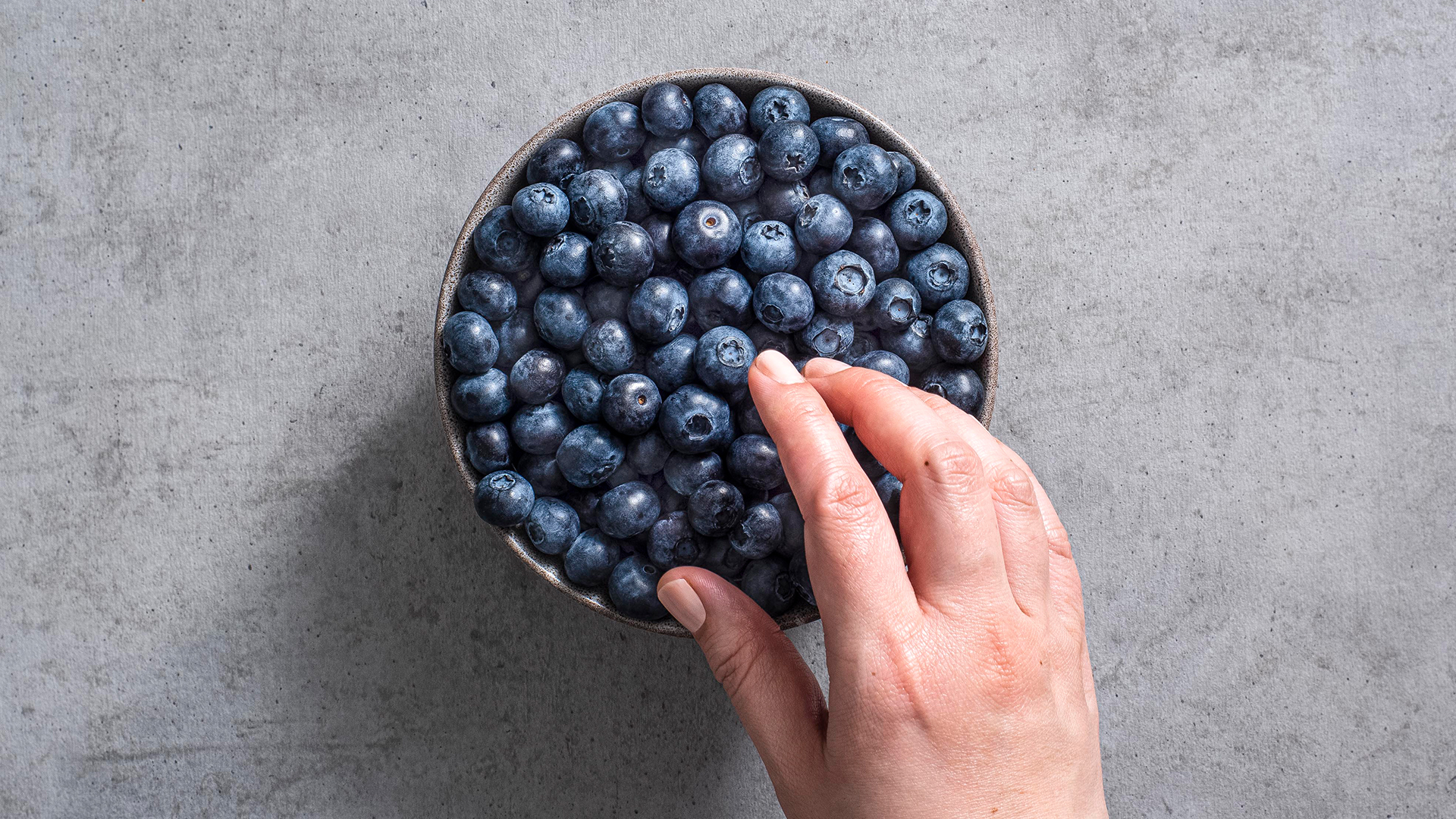 New Cornell Study Explores Consumption of a Blueberry-Enriched Diet by ...