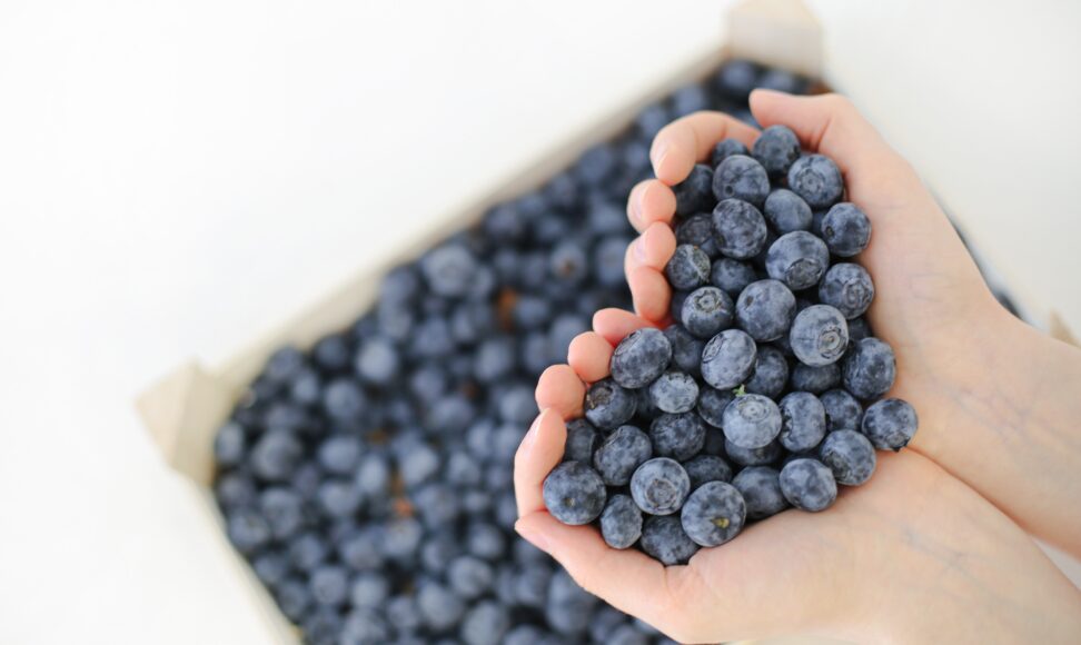 Home - Health Professionals